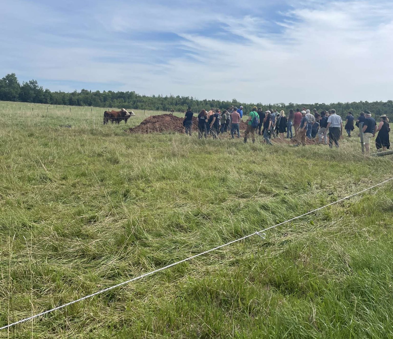 Rotational Grazing with Greg Judy from Green Pastures Farm – NBSCIA